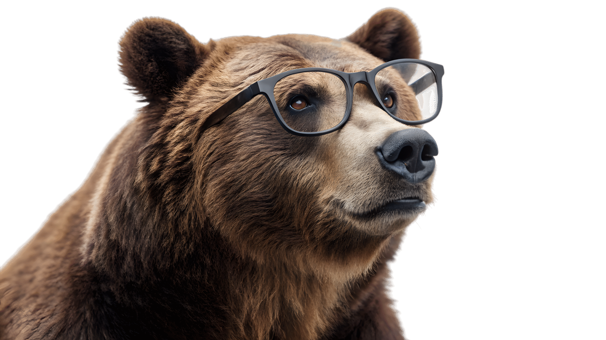 Google Click Identifier (GCLID) schnell & einfach erklärt